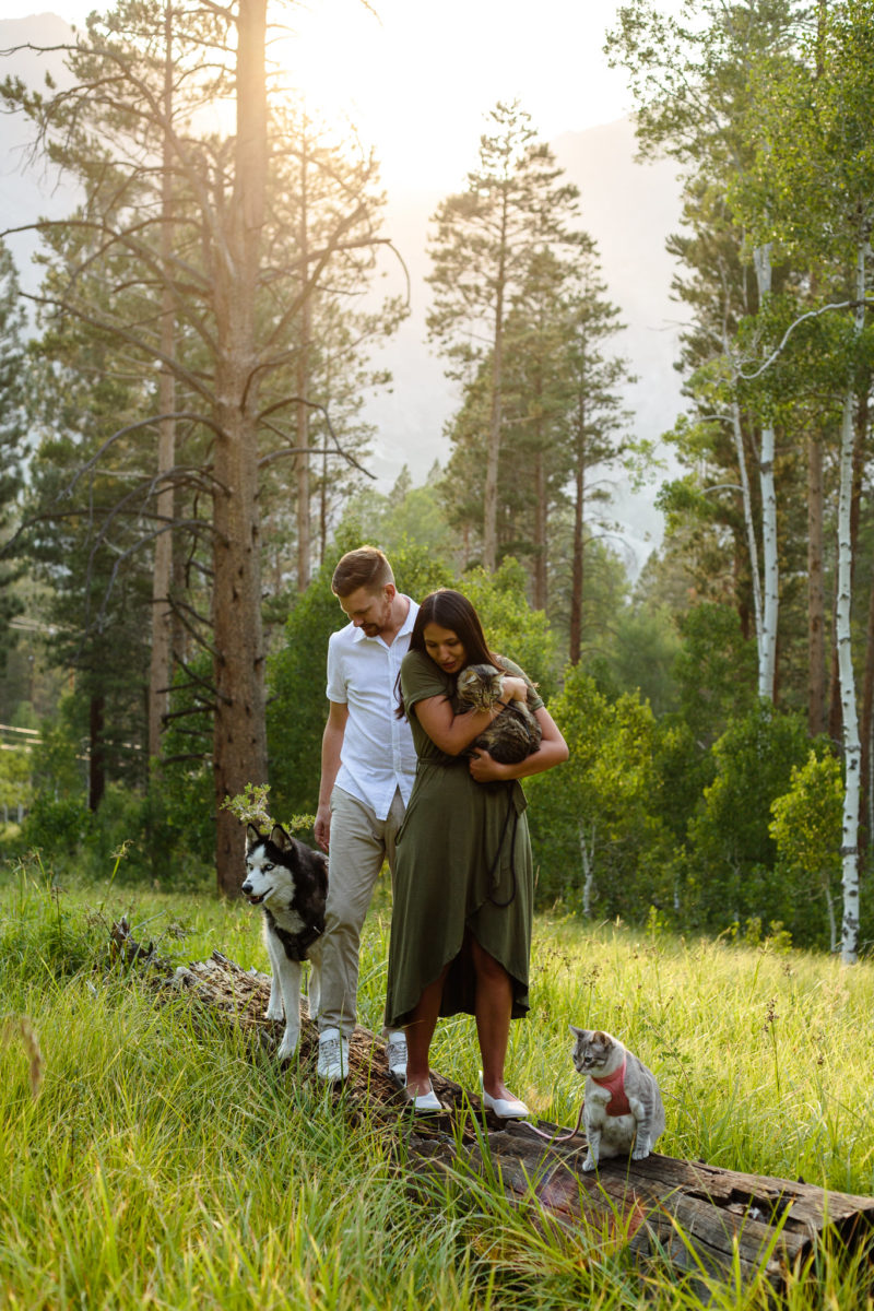 A Pet Friendly June Lake Engagement - desertpaintbrush.com