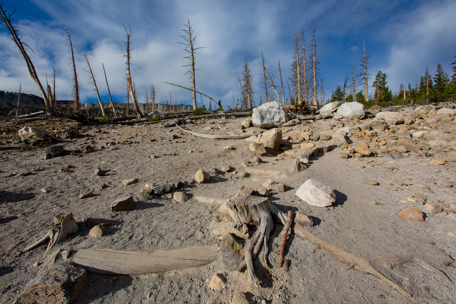 How to Hike to McLeod Lake - desertpaintbrush.com
