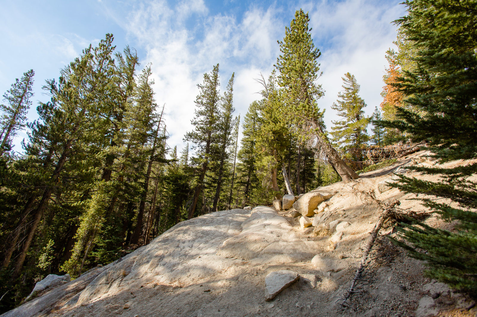 How to Hike to McLeod Lake - desertpaintbrush.com